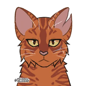 Tigerstar | Warriors Fanon Wiki | Fandom