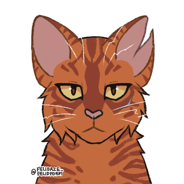 Tigerstar | Warriors Fanon Wiki | Fandom