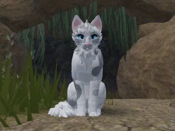 Doveflower | Warriors Fanon Wiki | Fandom