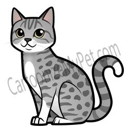 Pebblekit | Warriors Fanon Wiki | Fandom