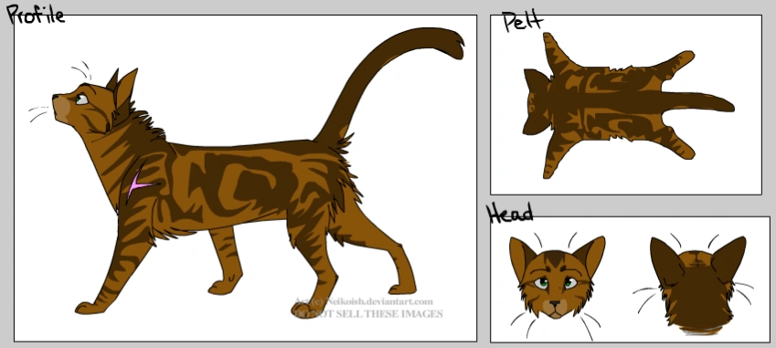 Fernstar (ThunderClan) | Warriors Fanon Wiki | Fandom