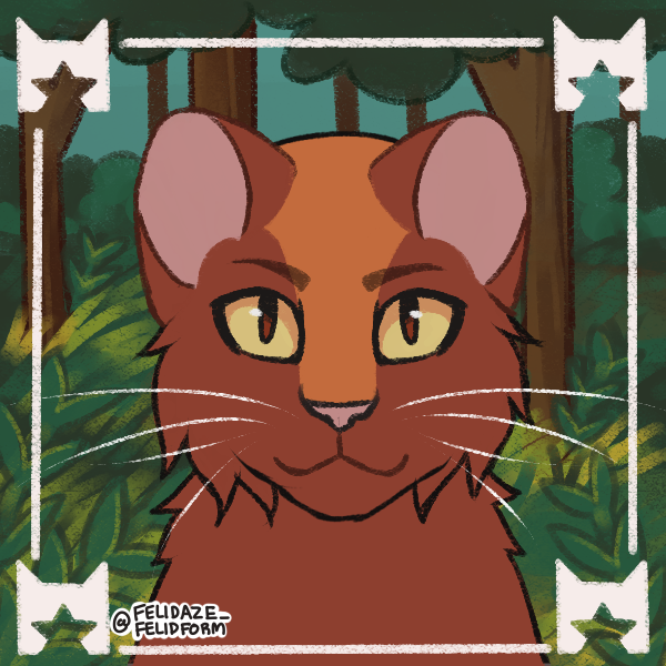 Cloud | Warriors Fanon Wiki | Fandom