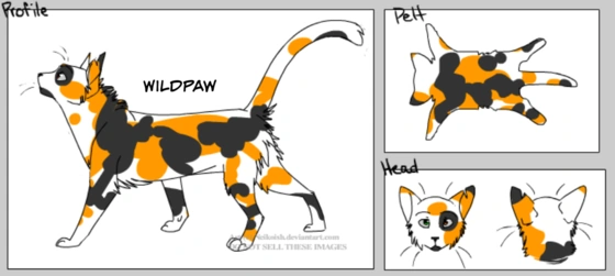 Wildpaw | Warriors Fanon Wiki | Fandom