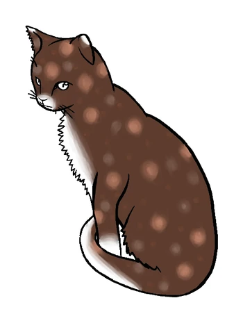 Gorsetooth | Warriors Fanon Wiki | Fandom