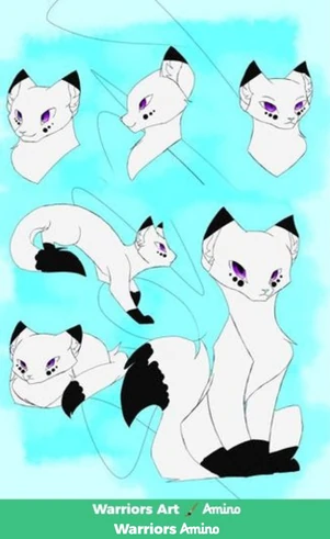 Snowwing | Warriors Fanon Wiki | Fandom