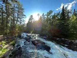 User blog:DisneyGirl200/The Tribe of the Wild Rushing River | Warriors ...