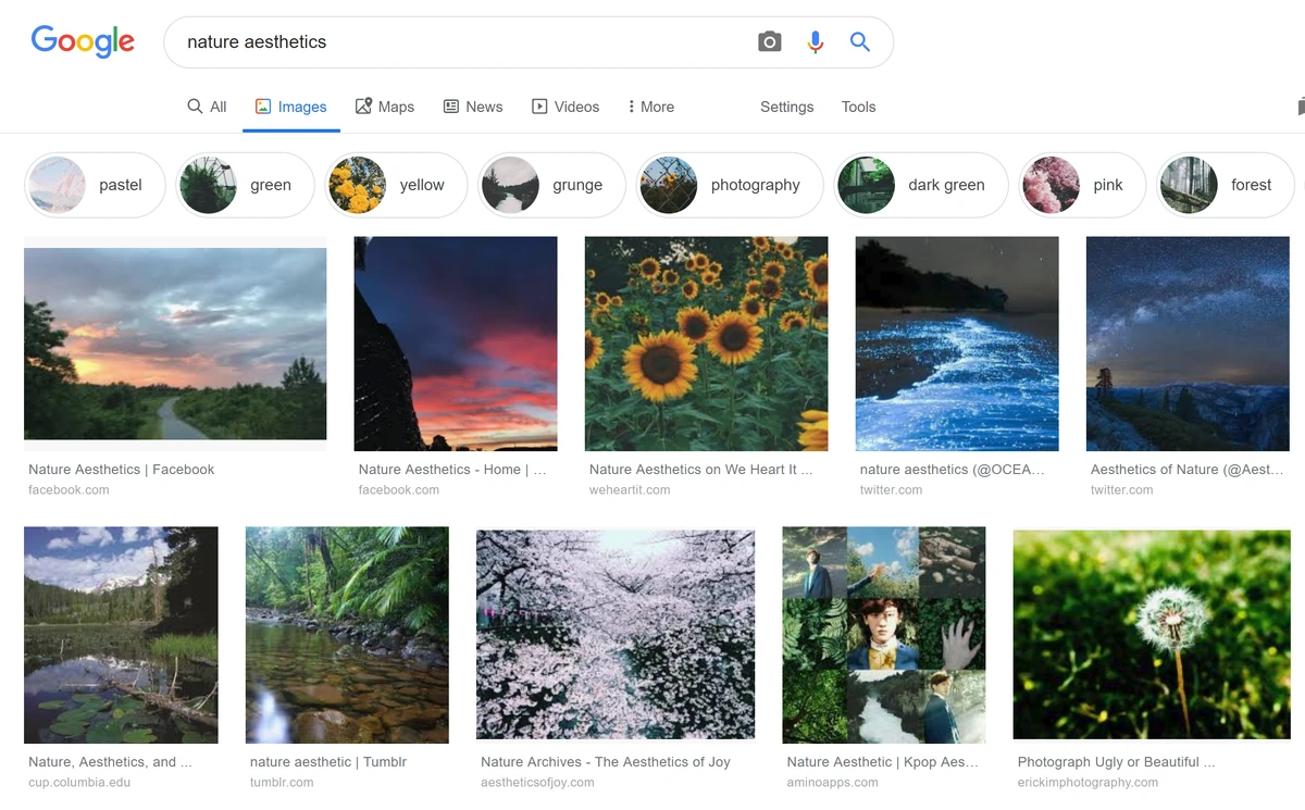 Moon's Crash Course In Aesthetic Characters! | Warriors Fanon Wiki | Fandom