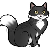 Ripperwhiskers | Warriors Fanon Wiki | Fandom