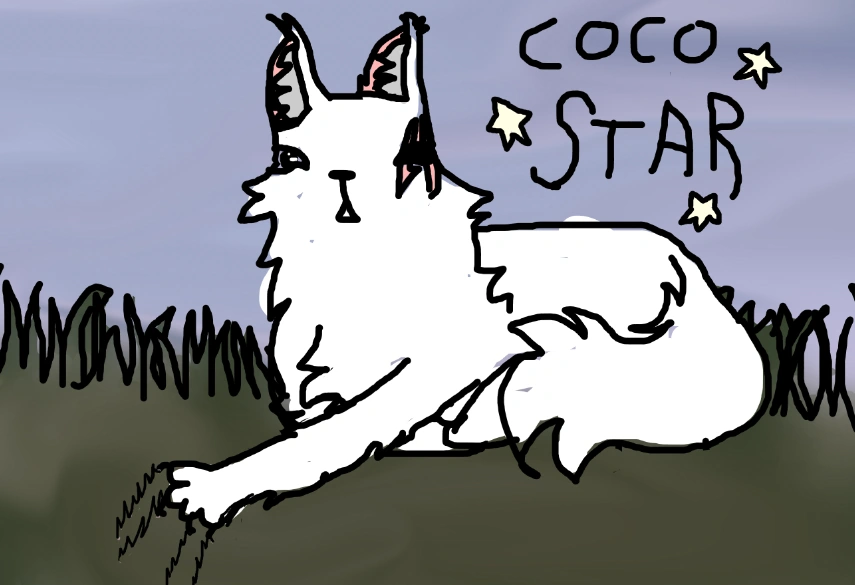 Cocostar | Warriors Fanon Wiki | Fandom