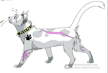 Warrior Cats Bloodclan Names