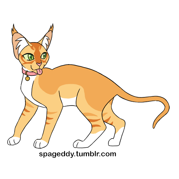 Goldy | Warriors Fanon Wiki | Fandom