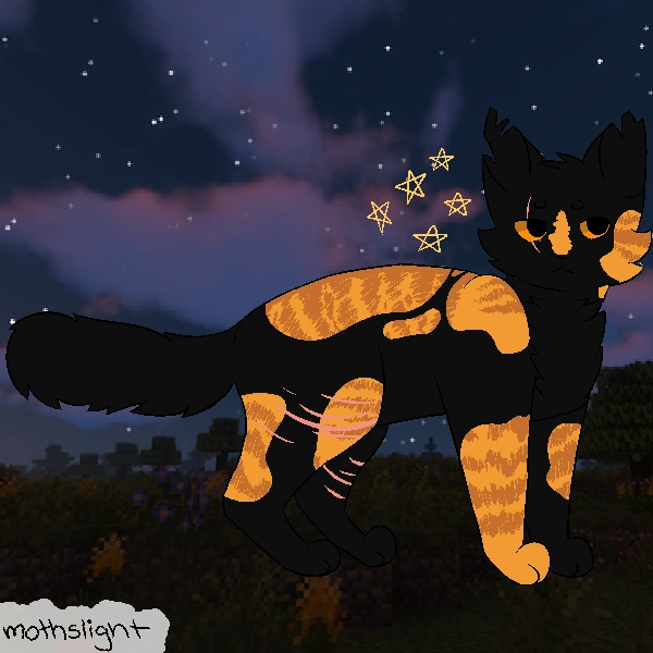 Shadowphoenix | Warriors Fanon Wiki | Fandom