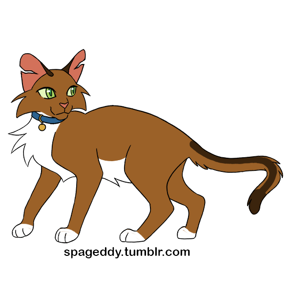 Tim | Warriors Fanon Wiki | Fandom