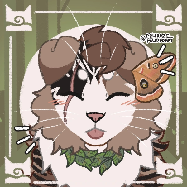 Pebblepaw WindClan | Warriors Fanon Wiki | Fandom