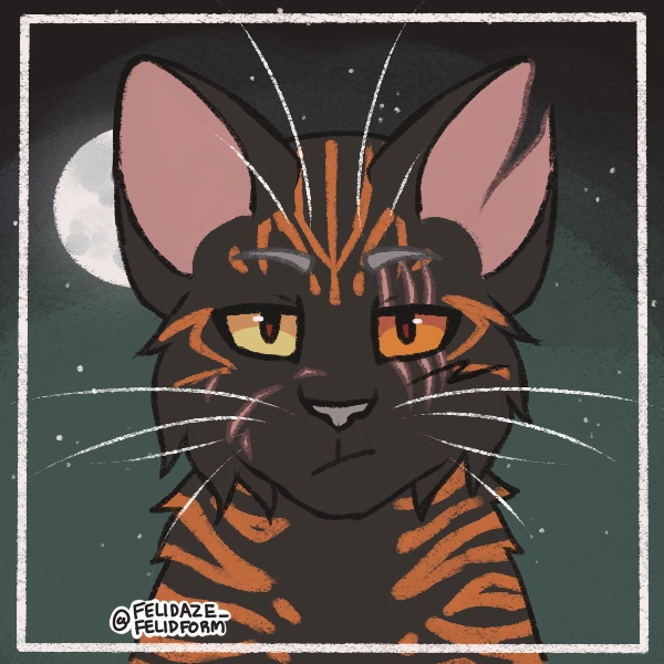 Shadowtiger | Warriors Fanon Wiki | Fandom
