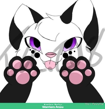 Snowwing | Warriors Fanon Wiki | Fandom