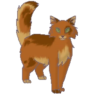 Maplestar | Cats Of The Moonfall Wikia | Fandom