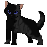 Sharpkit | Cats Of The Moonfall Wikia | Fandom