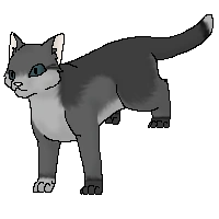 Shadowpaw | Cats Of The Moonfall Wikia | Fandom