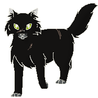 Cliff | Cats Of The Moonfall Wikia | Fandom