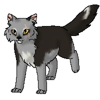 Timberwing | Cats Of The Moonfall Wikia | Fandom