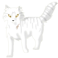 Web | Cats Of The Moonfall Wikia | Fandom