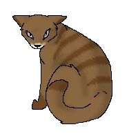 Wasp | Cats Of The Moonfall Wikia | Fandom