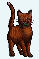 Littleleaf | Warriors Characters Wiki | Fandom