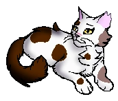 Hawkfeather | Warriors Characters Wiki | Fandom