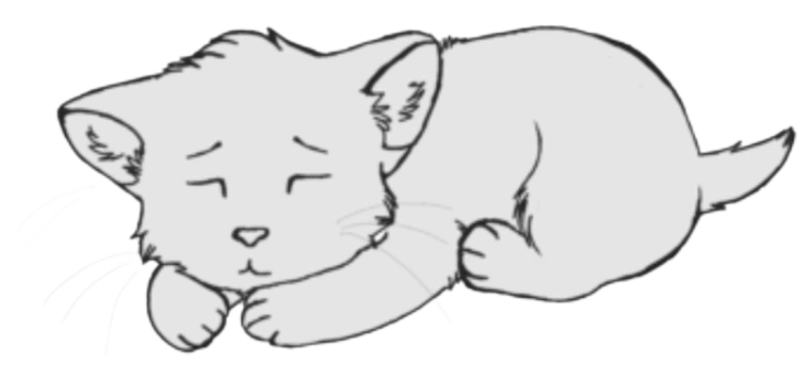 Springkit | Warriors Clan Village Wiki | Fandom