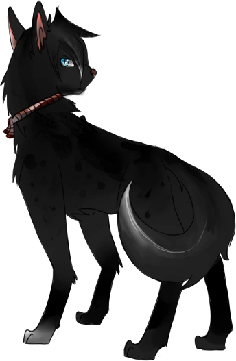 Darkfrost | Warriors: DarkStorm Wiki | Fandom