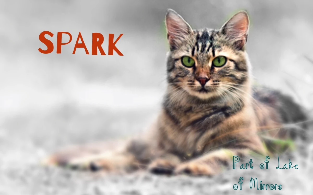 Spark (LOM) | Warriors Fanfiction | Fandom