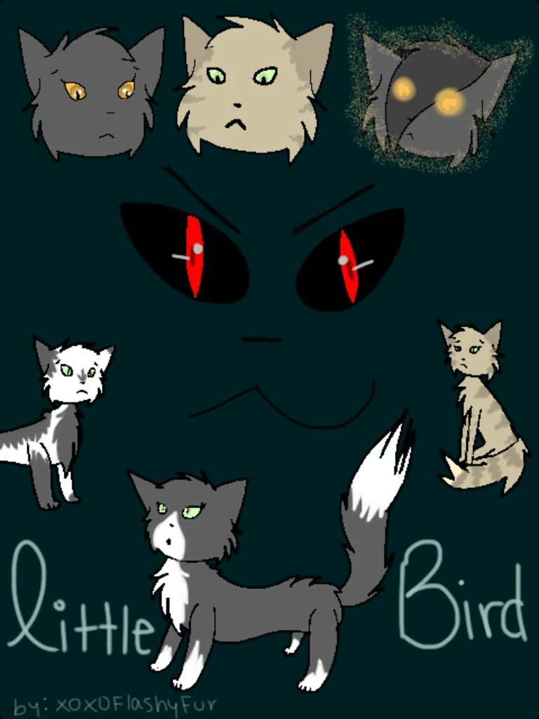 Little Bird | Warriors Fanfiction | Fandom