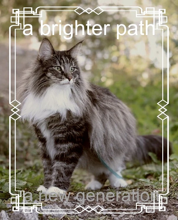 A brighter path | Warriors Fanfiction | Fandom