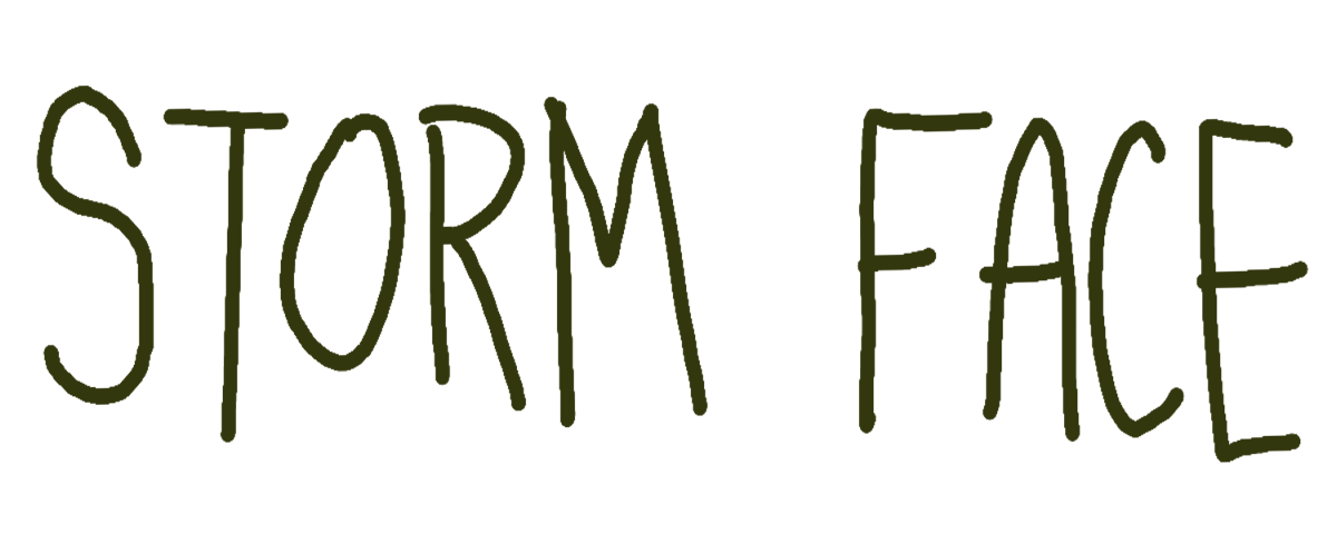 Storm Face | Warriors Fanfiction | Fandom