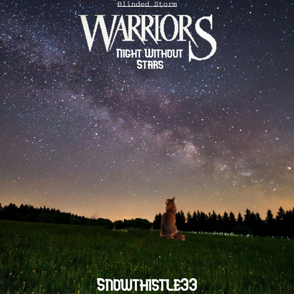 Night Without Stars | Warriors Fanfiction | Fandom