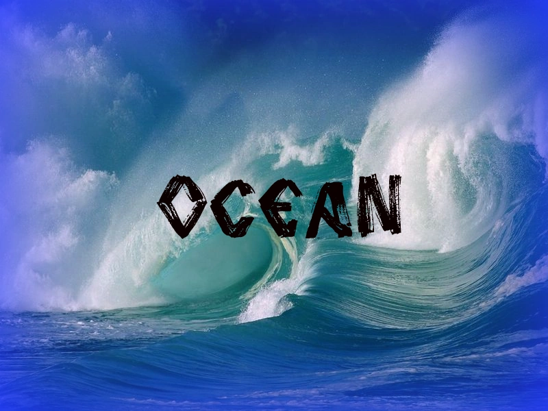 Ocean | Warriors Fanfiction | Fandom