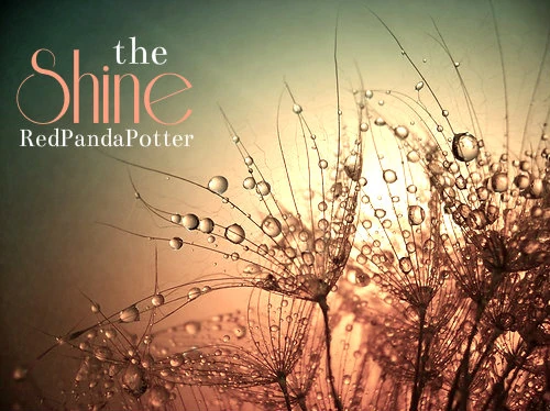 The Shine | Warriors Fanfiction | Fandom