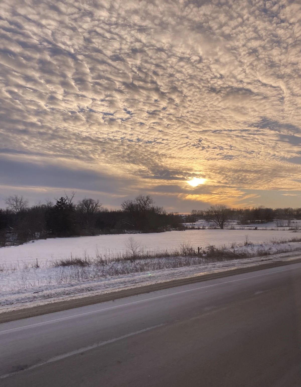 The Whispers of Winter | Warriors Fanfiction | Fandom
