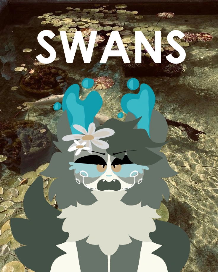 SWANS | Warriors Fanfiction | Fandom