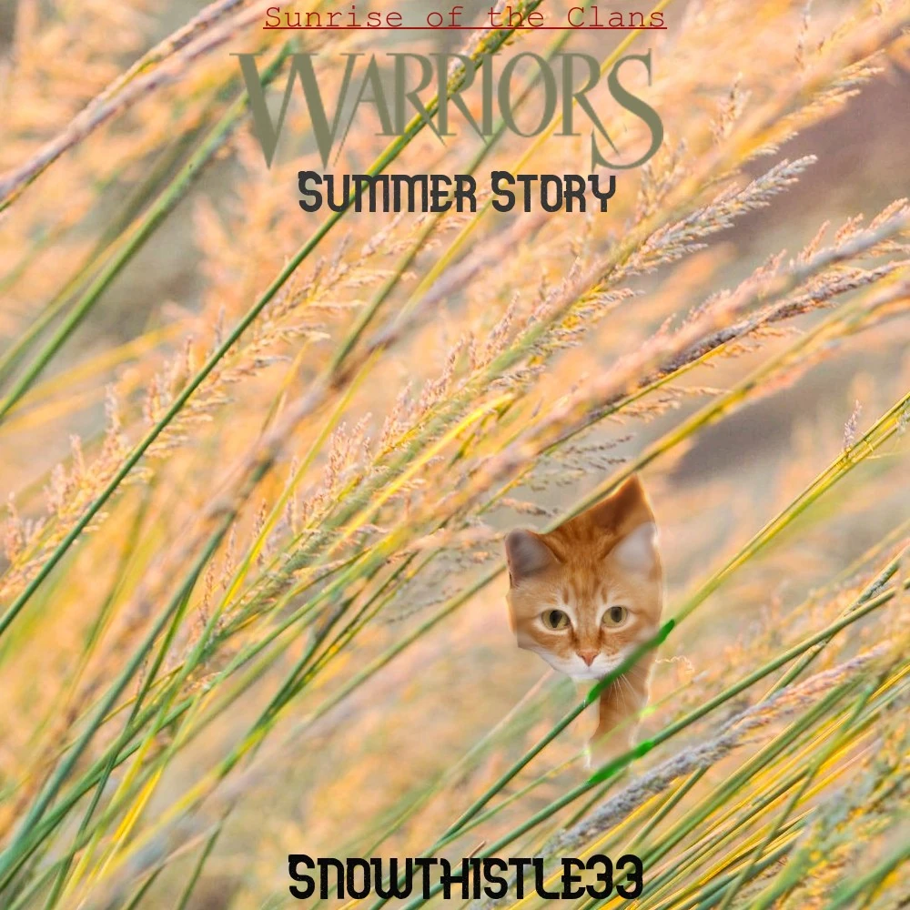 Summer Story | Warriors Fanfiction | Fandom