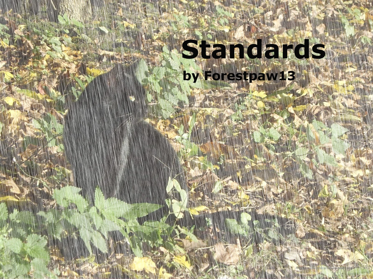 Standards (Series) | Warriors Fanfiction | Fandom