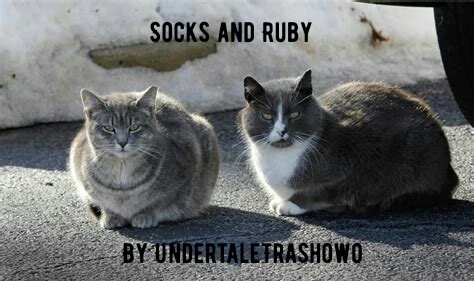 Socks and Ruby: Book 1 | Warriors Fanfiction | Fandom