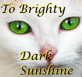 Dark Sunshine | Warriors Fanfiction | Fandom