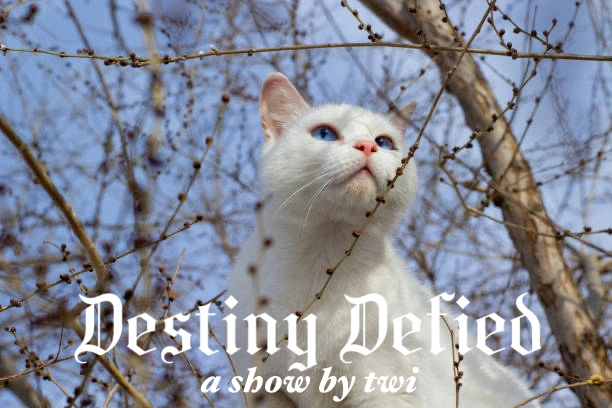 Destiny Defied | Warriors Fanfiction | Fandom