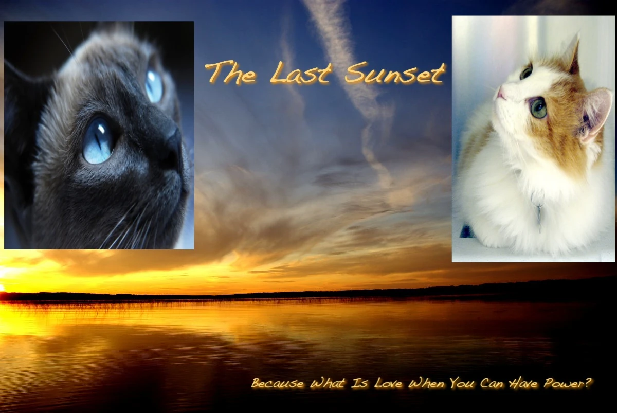 The Last Sunset | Warriors Fanfiction | Fandom