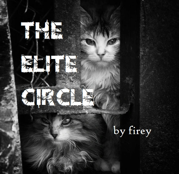 The Elite Circle | Warriors Fanfiction | Fandom
