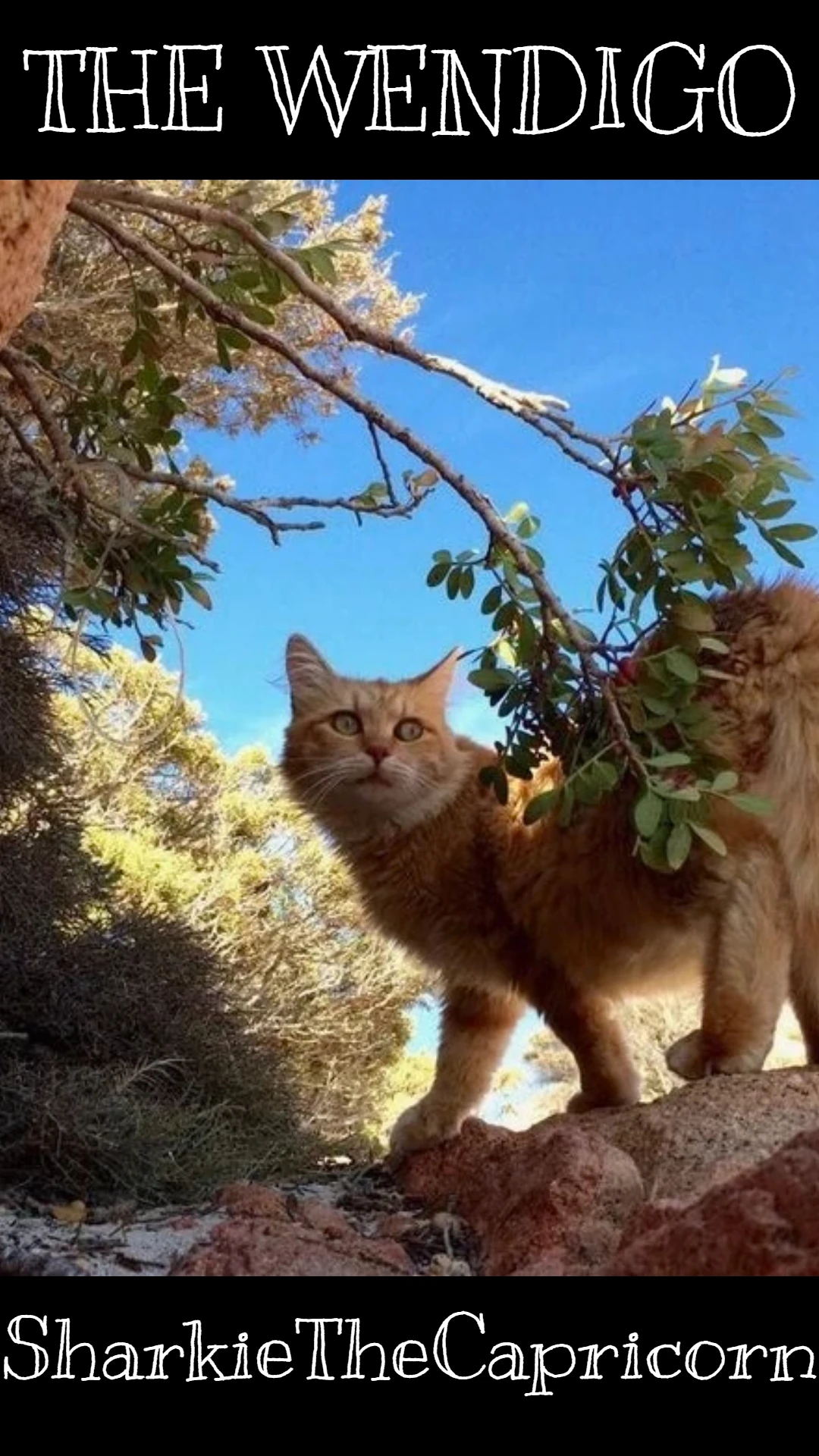 Cryptid Tales | Warriors Fanfiction | Fandom