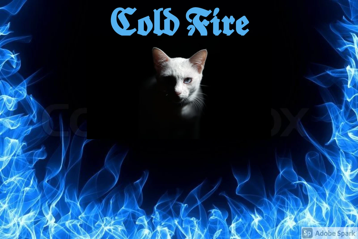 Cold Fire | Warriors Fanfiction | Fandom