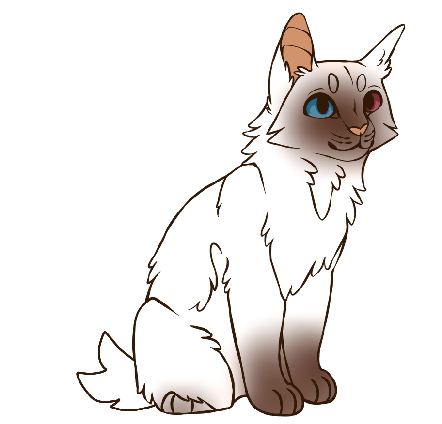 Sheepfur | WarriorSMP Wiki | Fandom